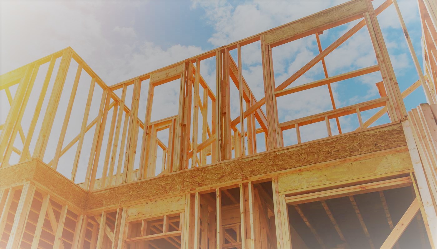 SERVICES – ACE ASSAF INVESTORS GROUP